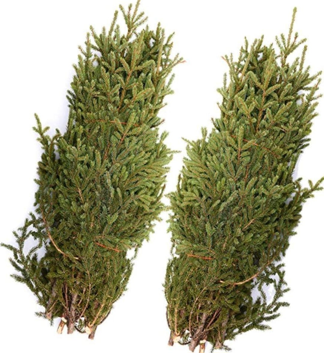 Spruce Top Bundles | Northwoods Natural Accents