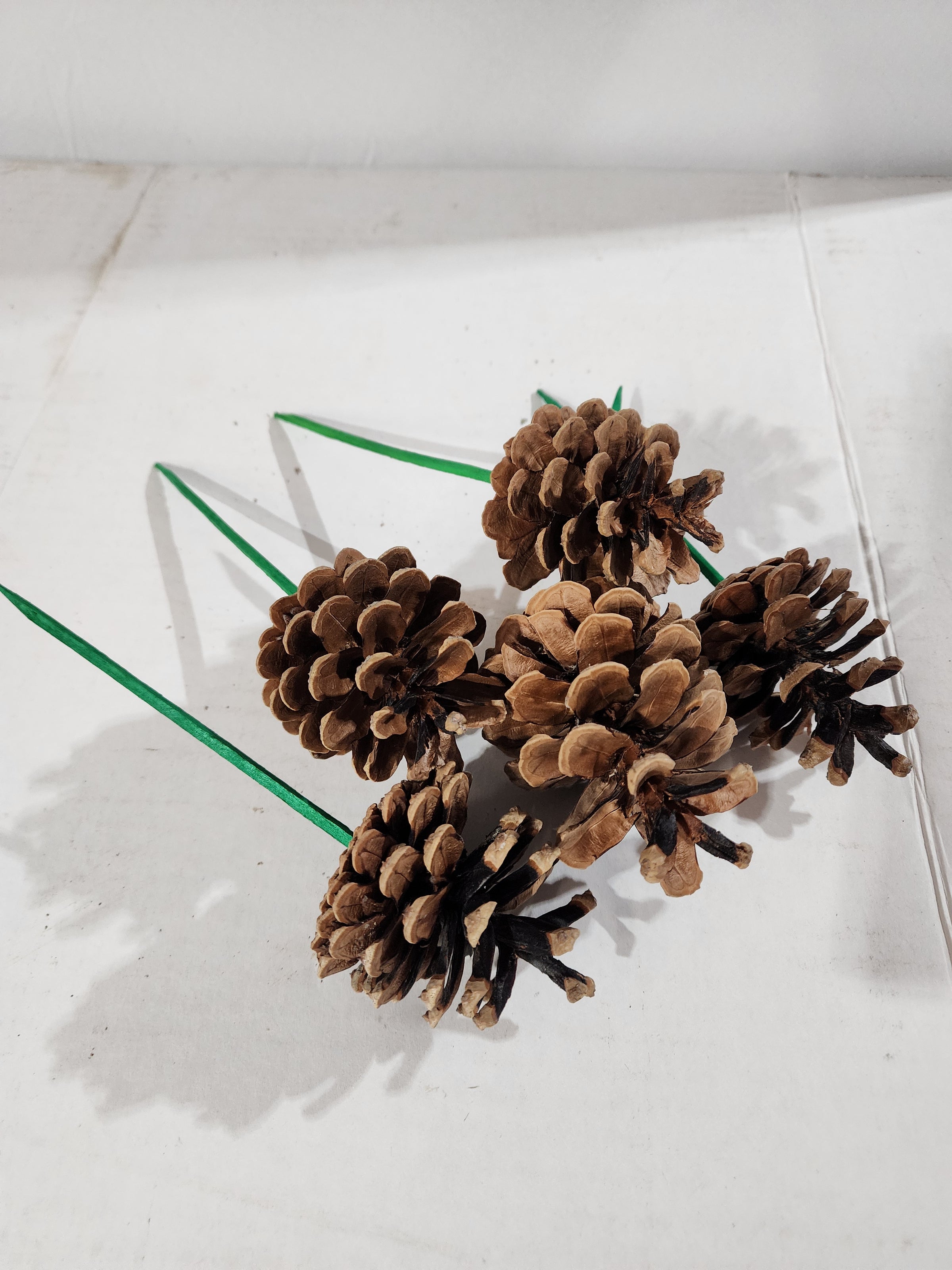 pine cone sticks