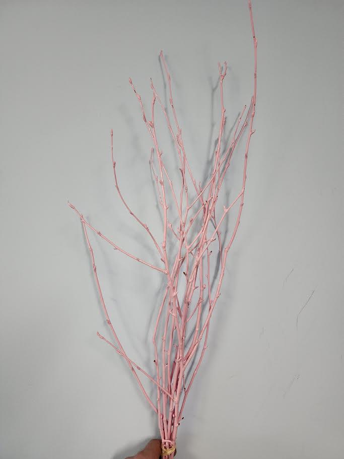 Natural & Painted Birch tips: 18"-32" long. (10pc bunches packed 25 ...